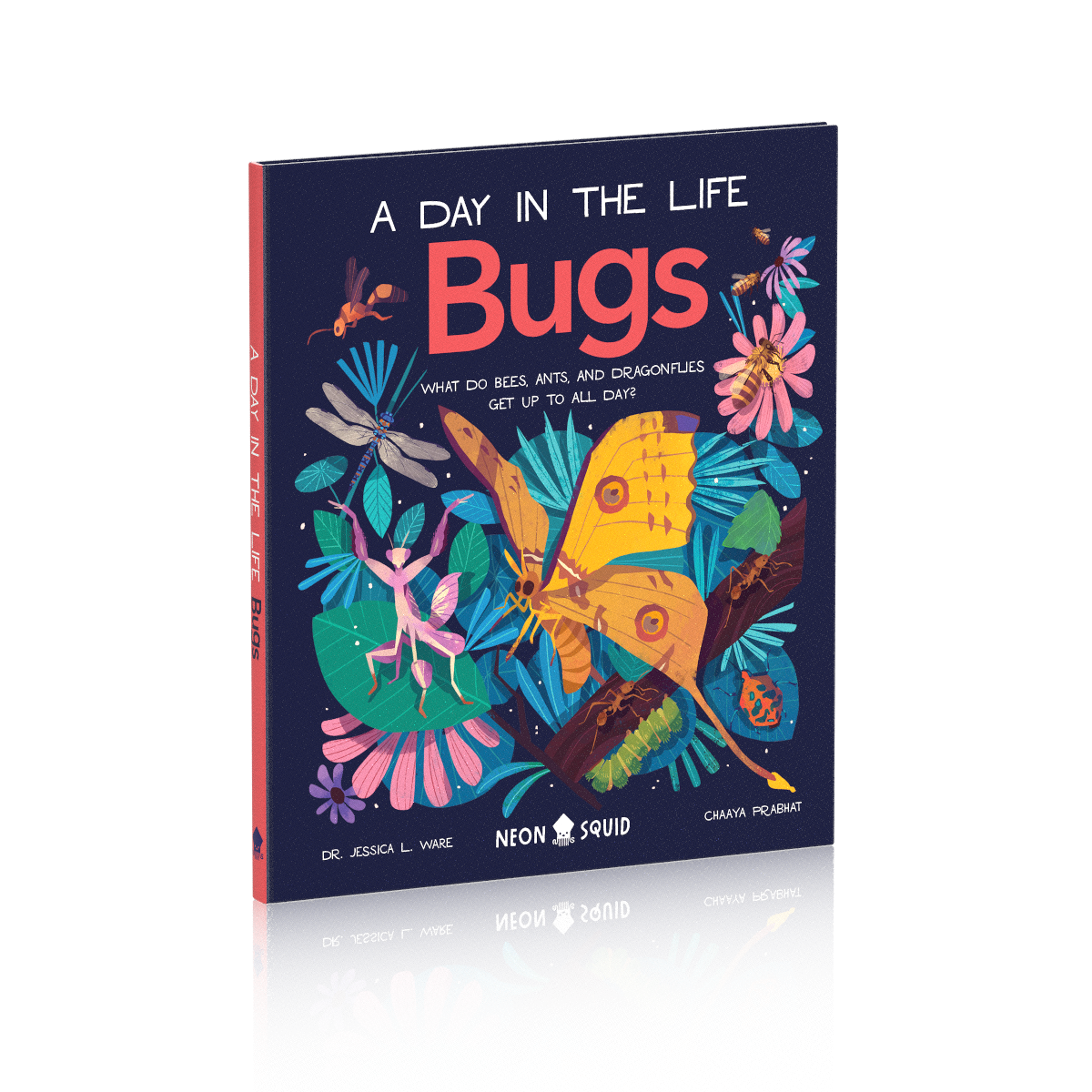 Introducing Neon Squid! – MacKids School & Library